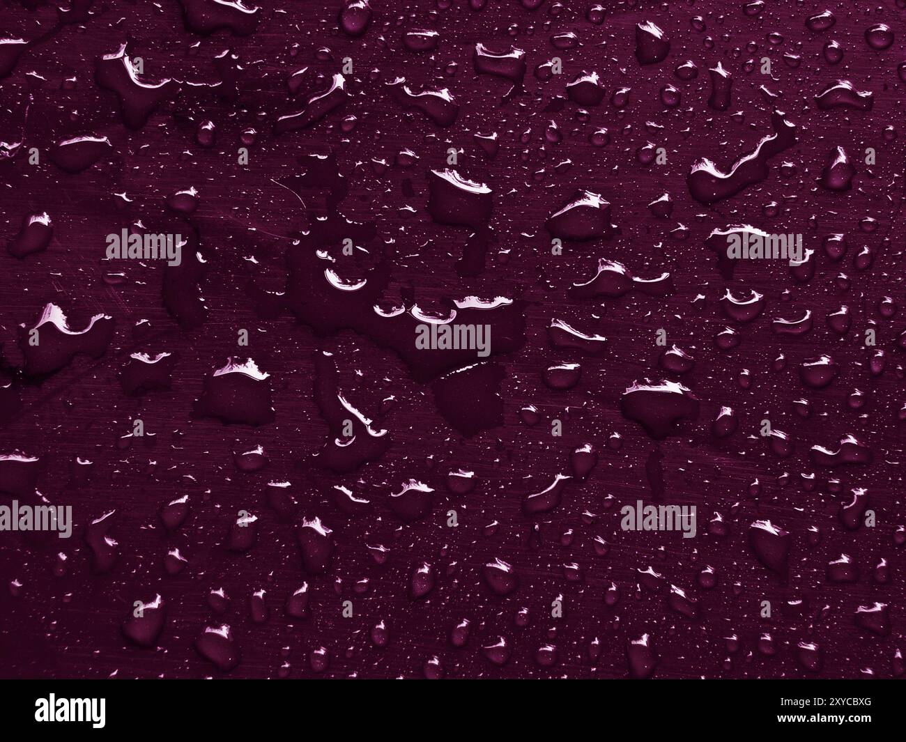 Tyrian purple hi-res stock photography and images - Alamy