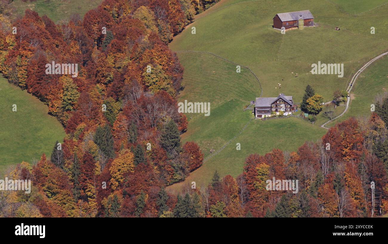 Colorful forest and green meadow with farmhouse Stock Photo - Alamy