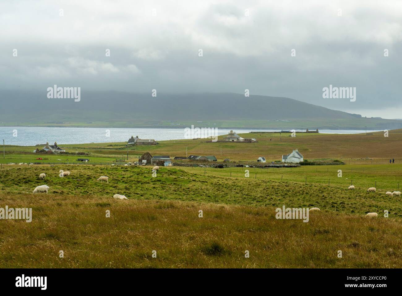 Papa Stour is one of the Shetland Islands in Scotland, with a ...