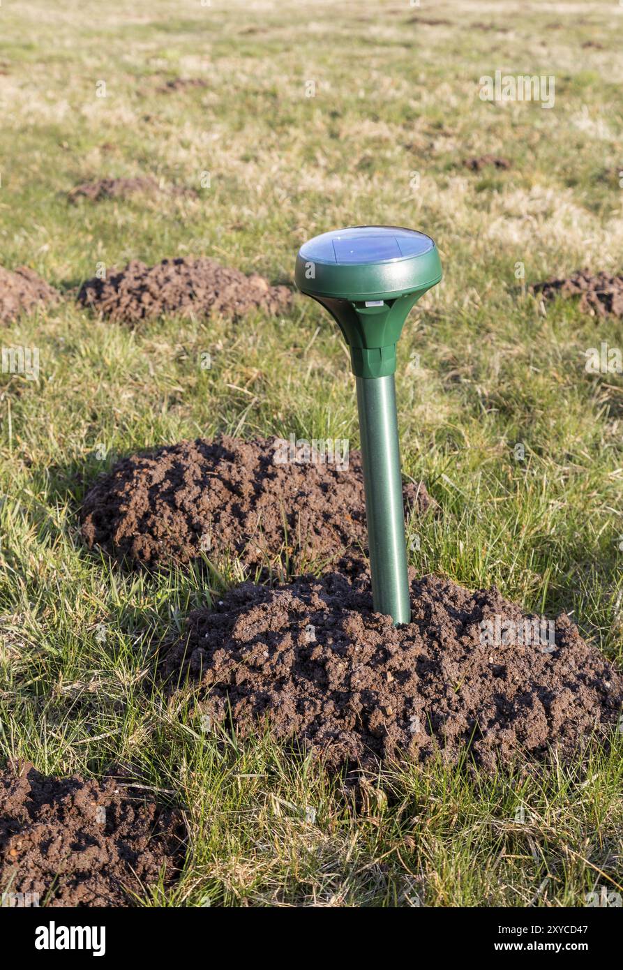 Attaching a mole deterrent Stock Photo - Alamy