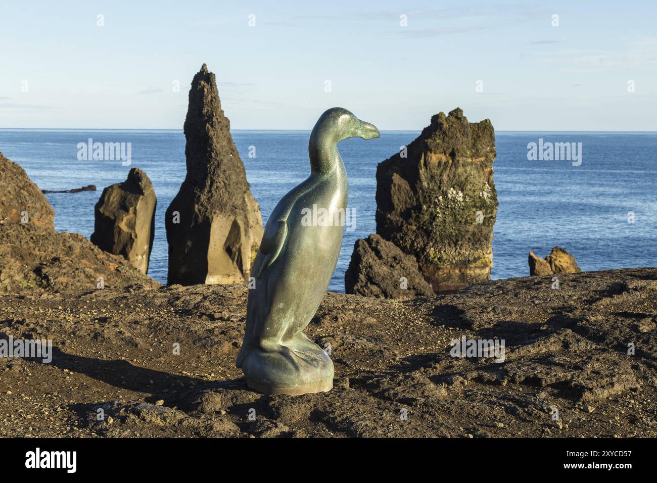 Alca borealis hi-res stock photography and images - Alamy