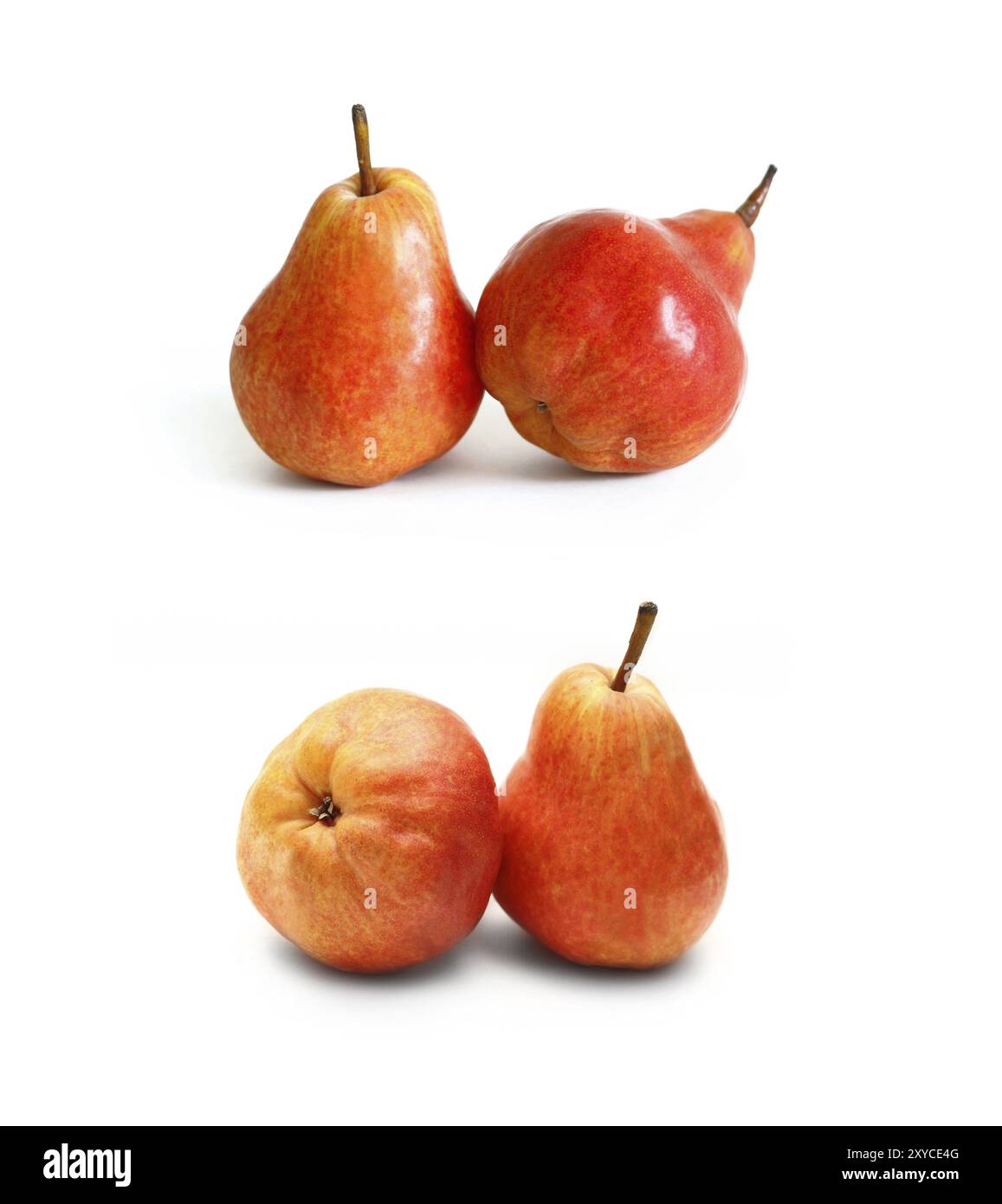 Red pears on white background Stock Photo - Alamy