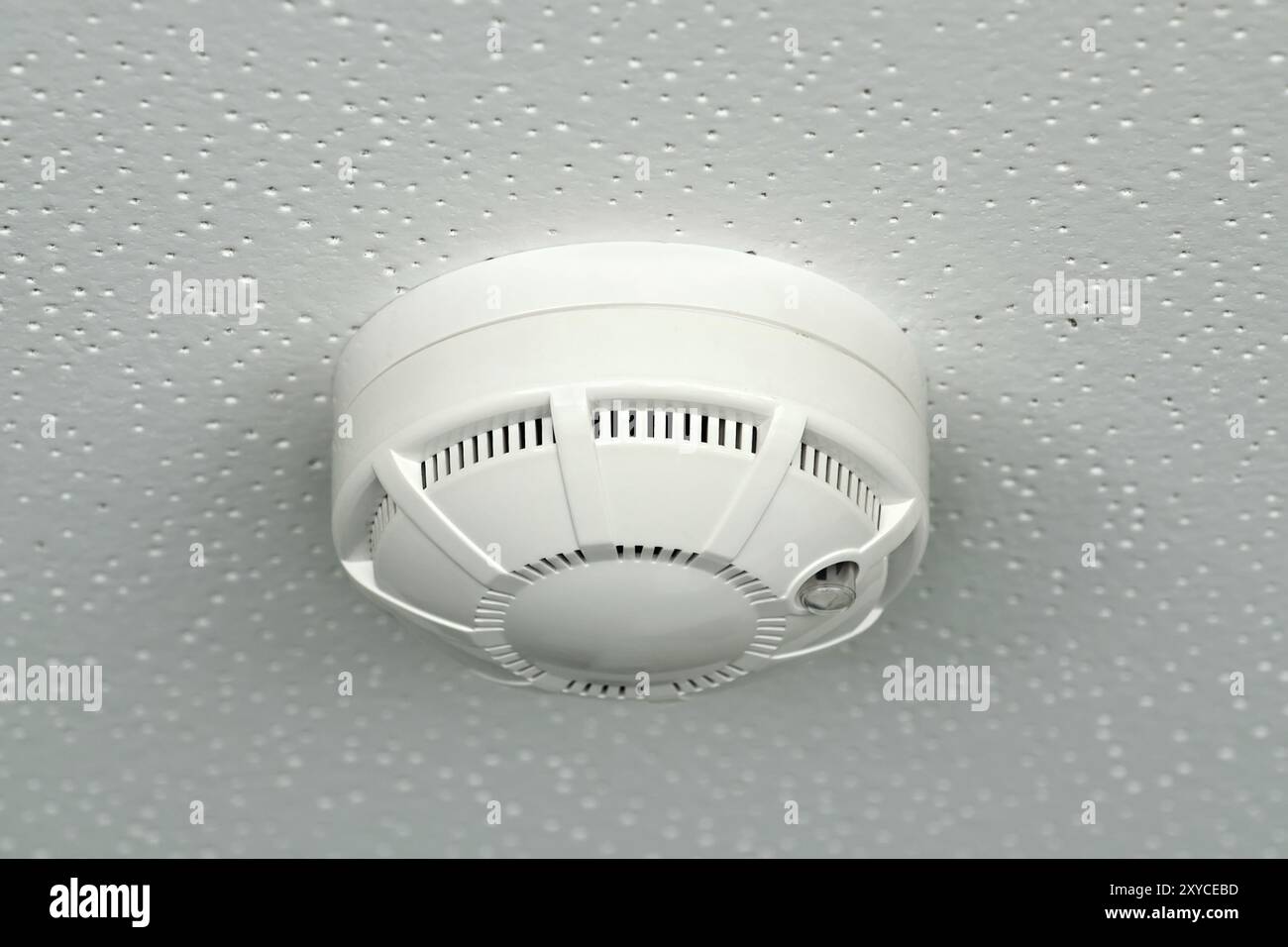 Fire alarm sensor on the ceiling of the Office Stock Photo - Alamy