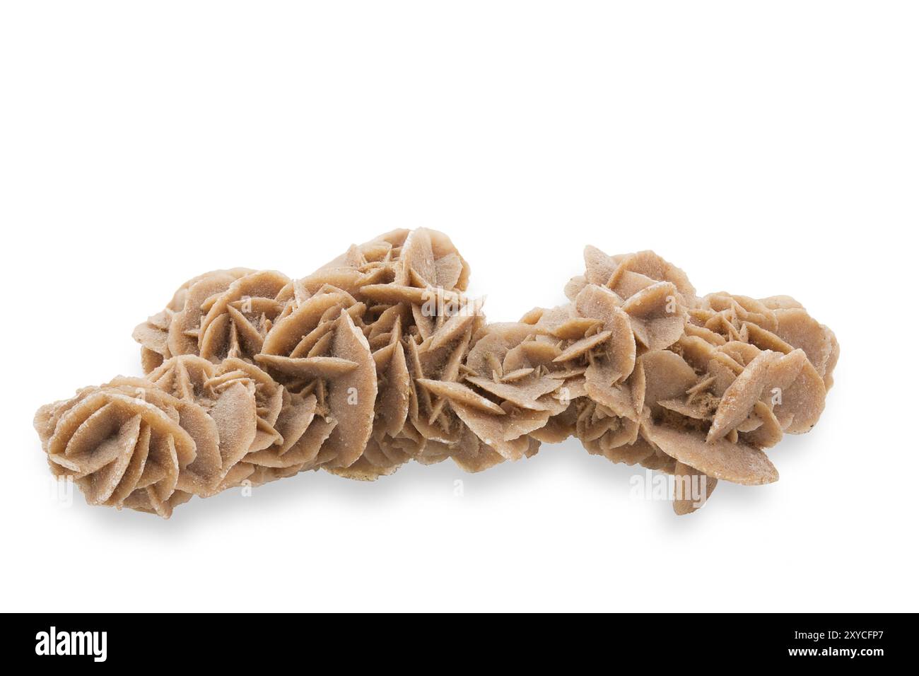 Sand rose, cropped Stock Photo - Alamy