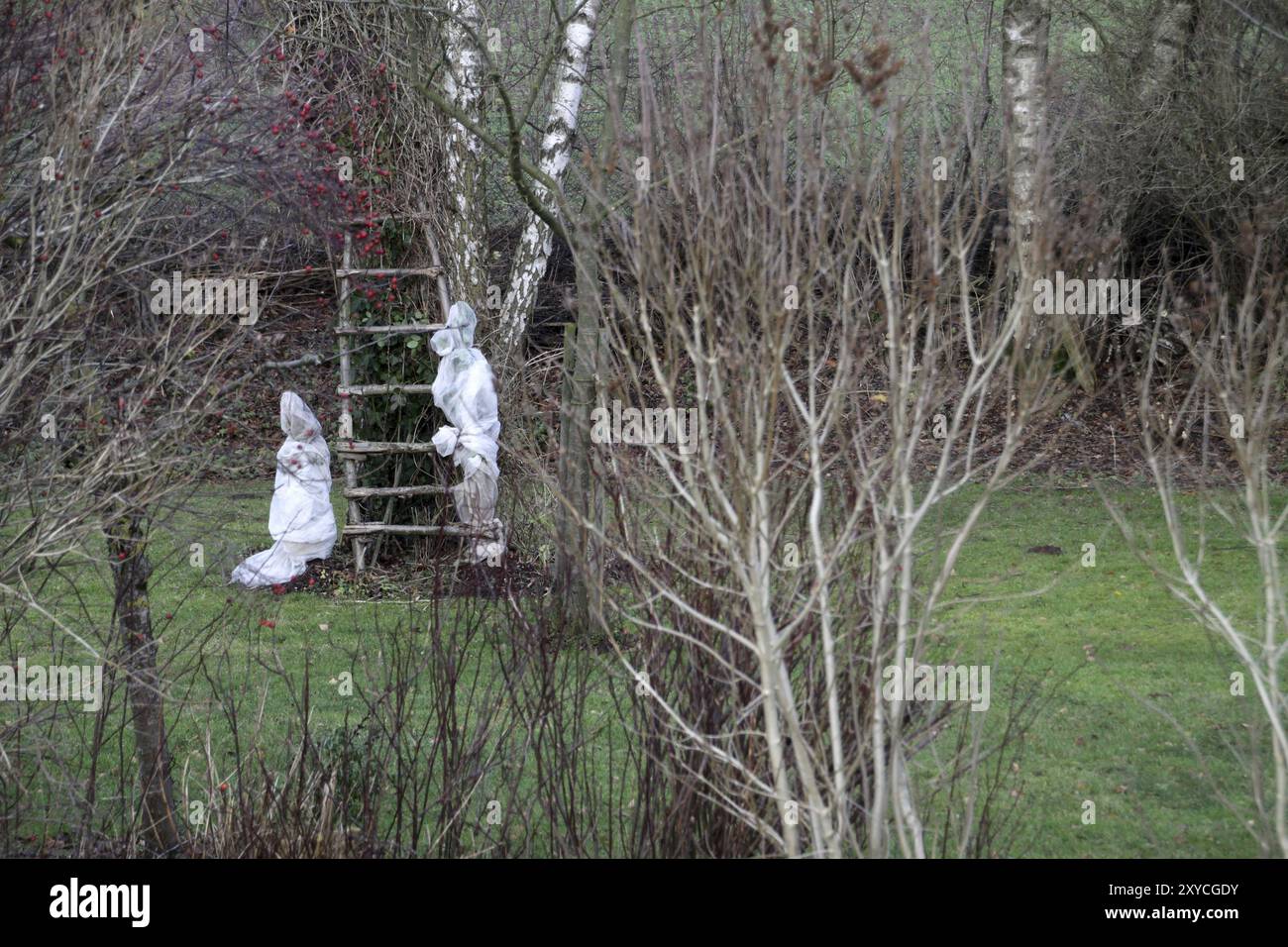 Frost proof garden hi-res stock photography and images - Alamy