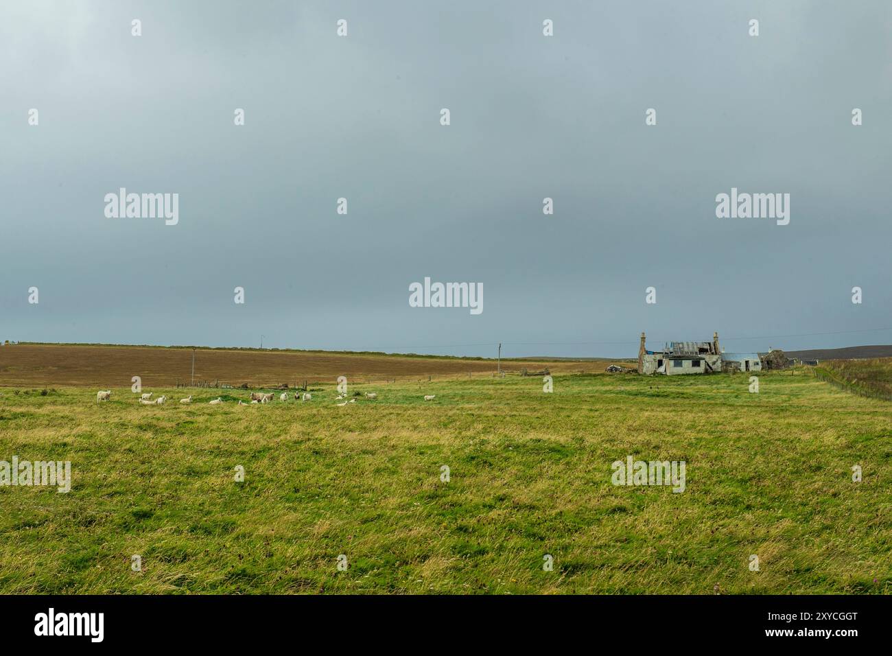 Papa Stour is one of the Shetland Islands in Scotland, with a ...