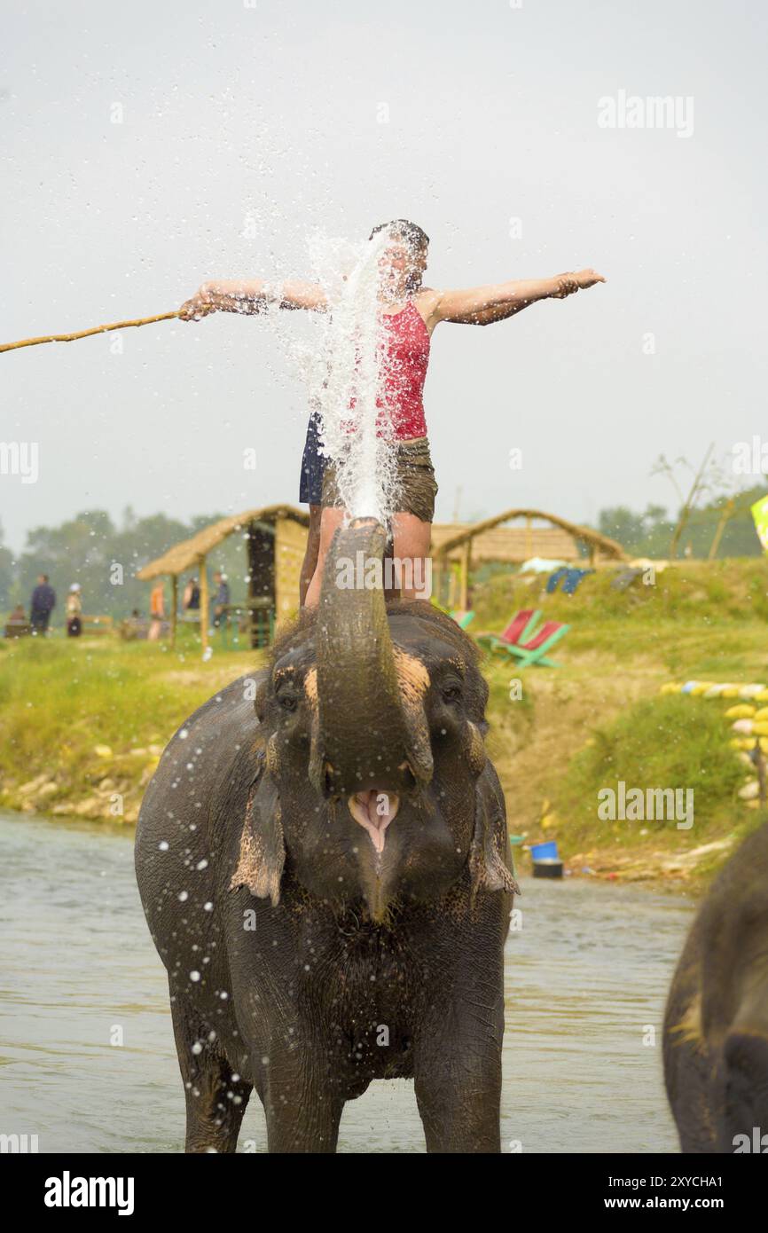 4 four red elephants hi-res stock photography and images - Alamy