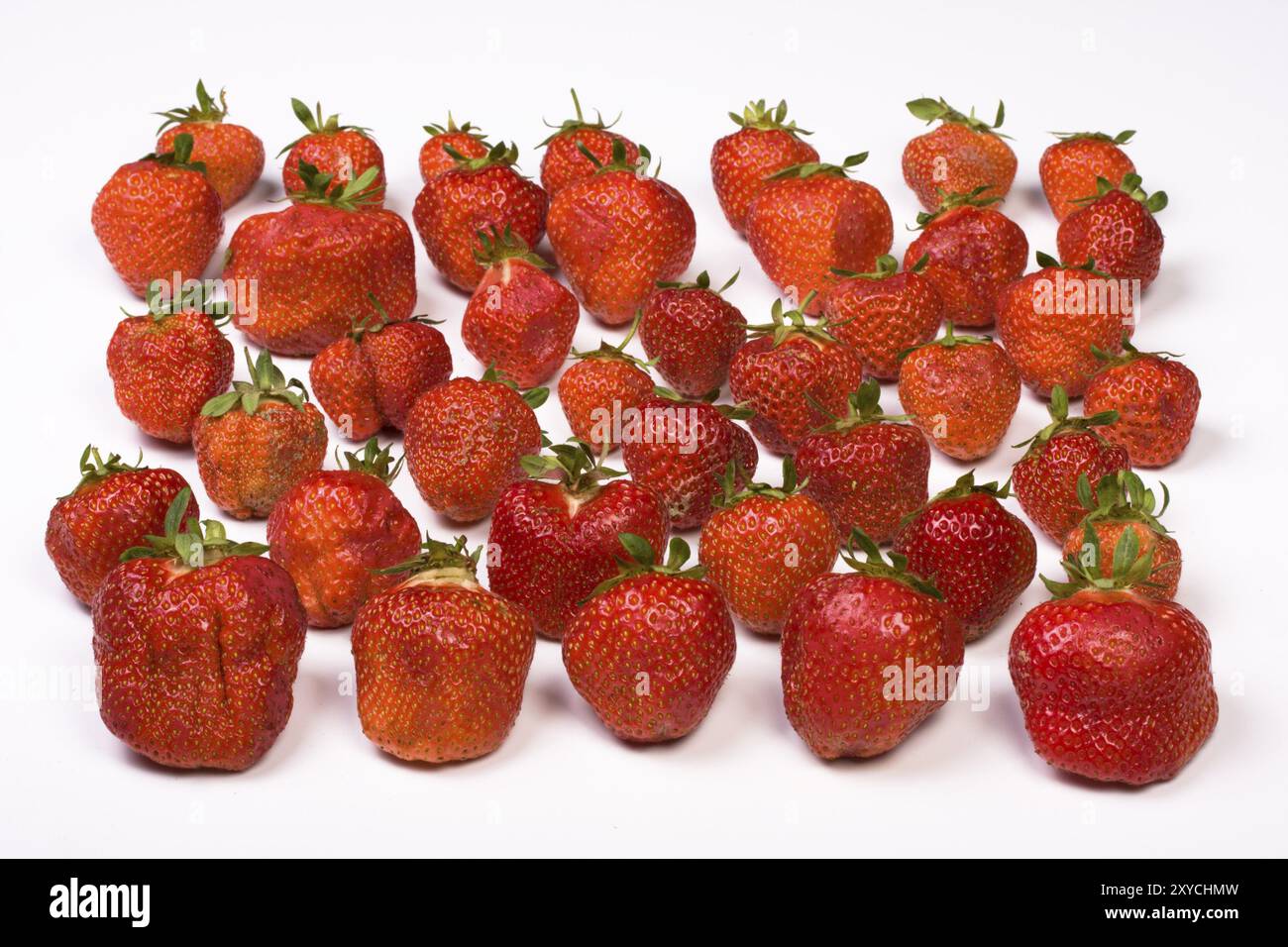 A lot of strawberries on white background Stock Photo - Alamy