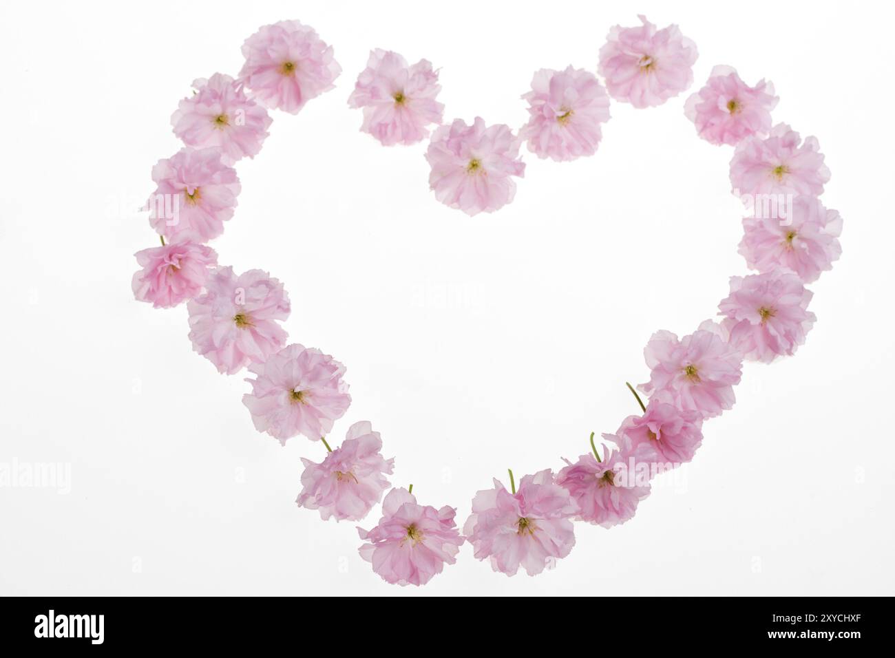 Cherry blossom shaped heart hi-res stock photography and images - Alamy