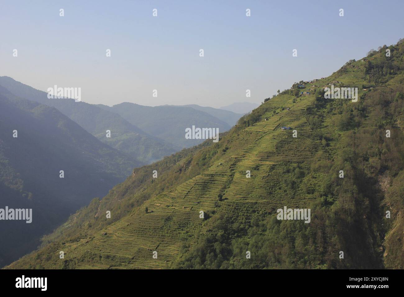 Steep hill with terraced fields in Ghandruk, Nepal, Asia Stock Photo ...