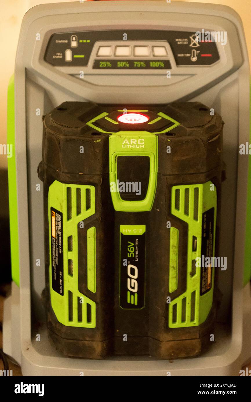 56 volt green and black rechargeable battery, used for garden tools, in ...