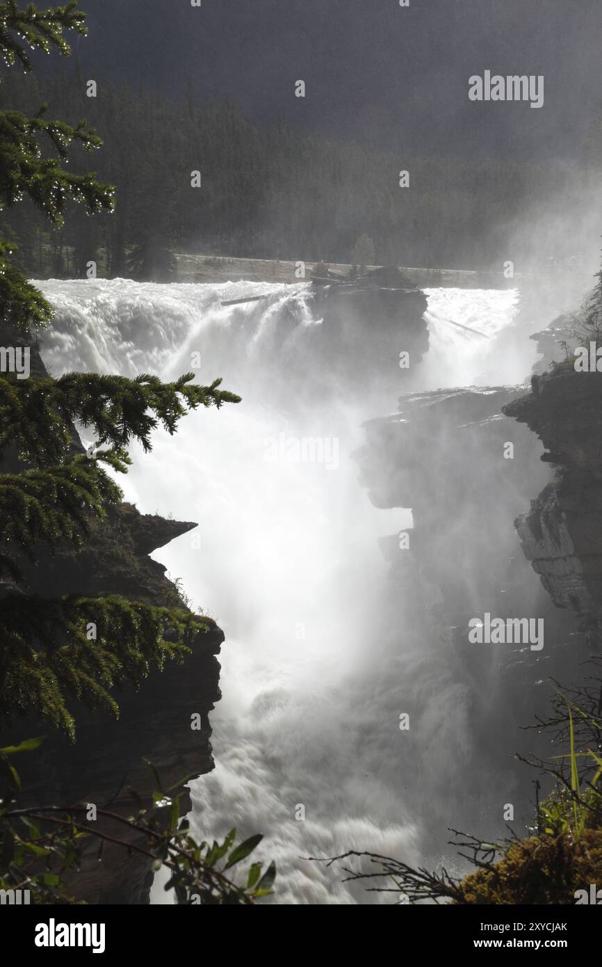 Athabasca falls n hi-res stock photography and images - Alamy