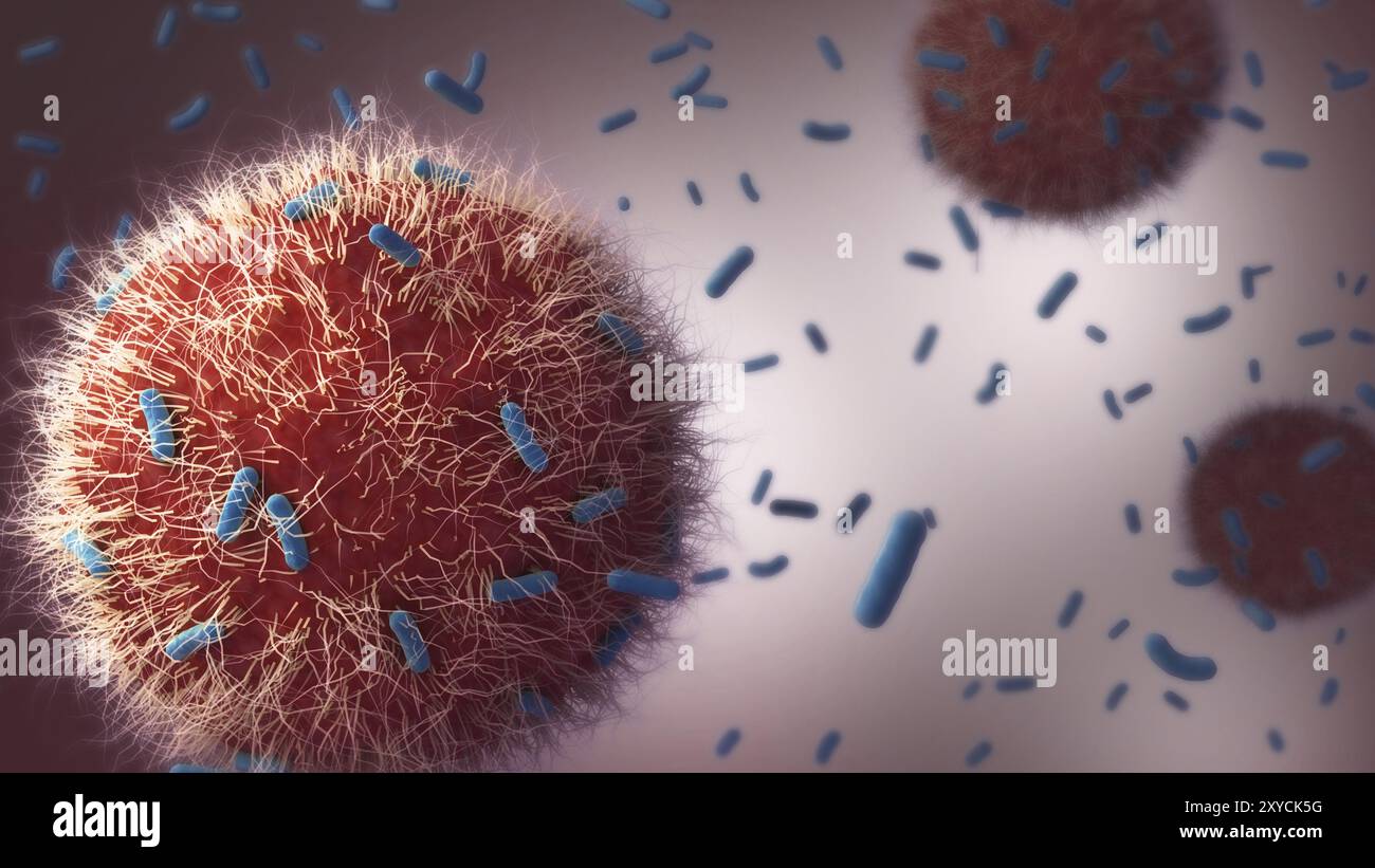 Immune cells attacking tuberculosis bacteria Stock Photo - Alamy