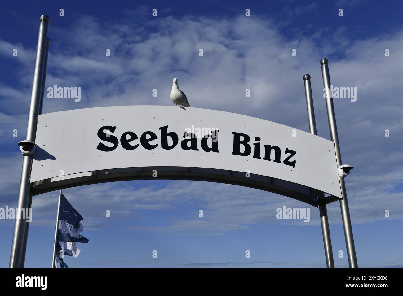 No seagulls sign hi-res stock photography and images - Alamy