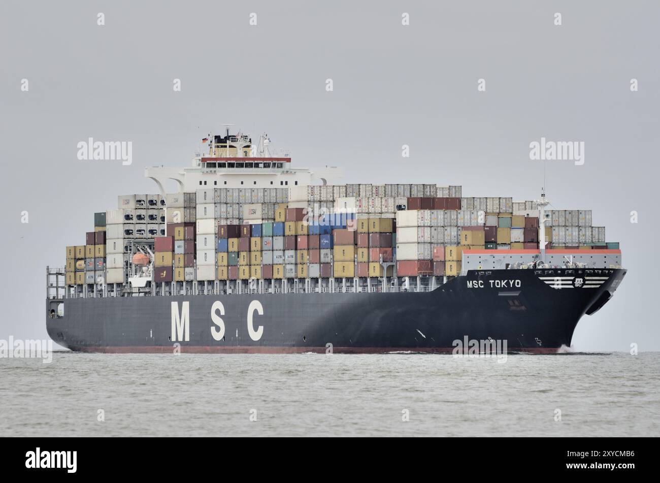 Container ship MSC Tokyo, IMO no. 9295361, approaching Cuxhaven Stock ...
