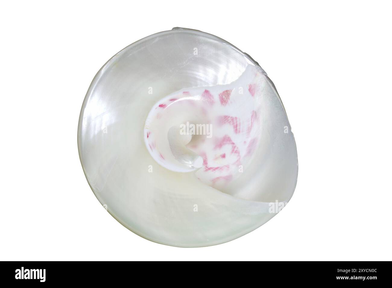 View single rock in Cut Out Stock Images & Pictures - Alamy