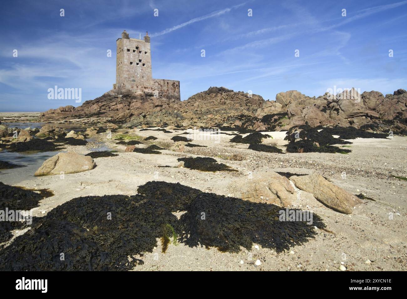 Channel islands uk underwater hi-res stock photography and images - Alamy