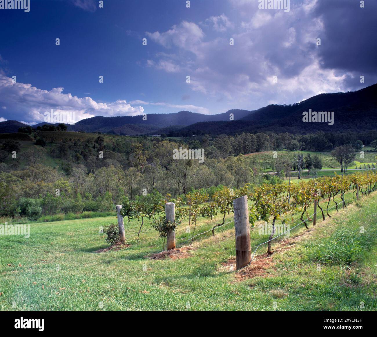 Australias wine regions hi-res stock photography and images - Alamy