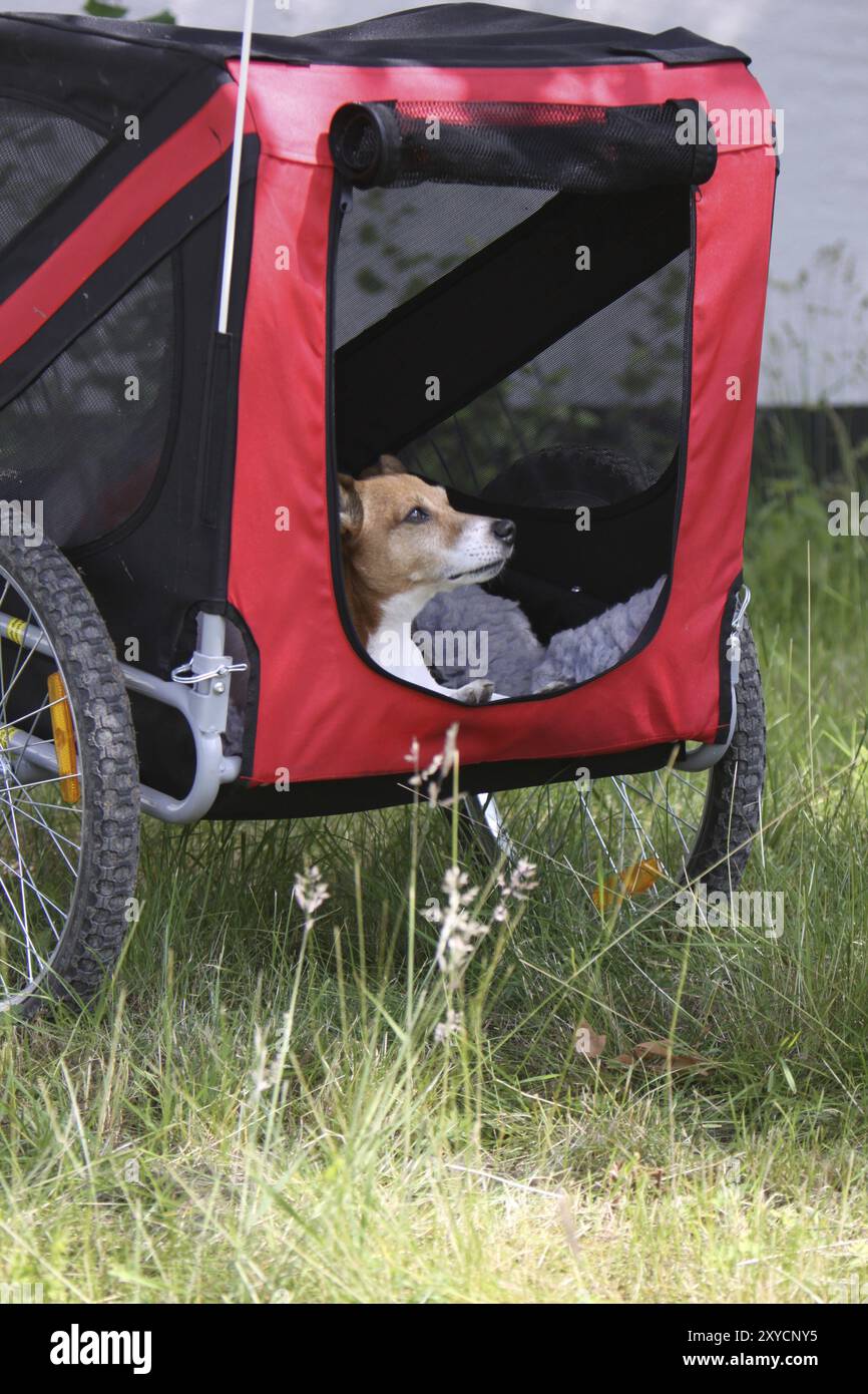 Bicycle trailers hi-res stock photography and images - Alamy