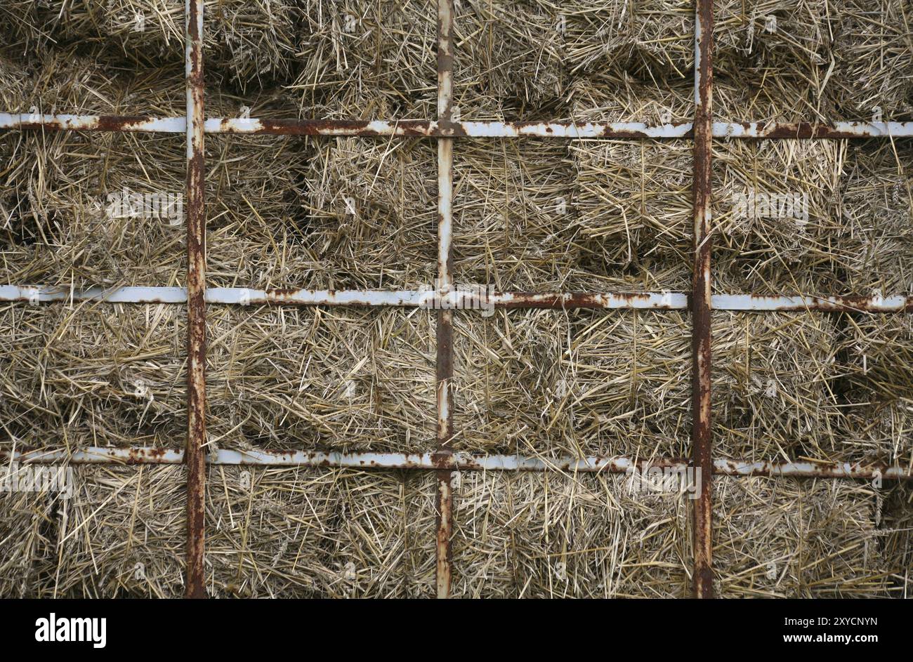 Straw bales behind bars on a tractor trailer Stock Photo - Alamy