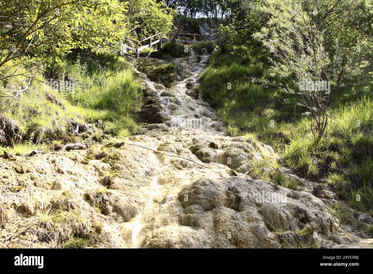 Spring tufa slope Lingenau, Bregenzerwald, limestone sinter Stock Photo ...
