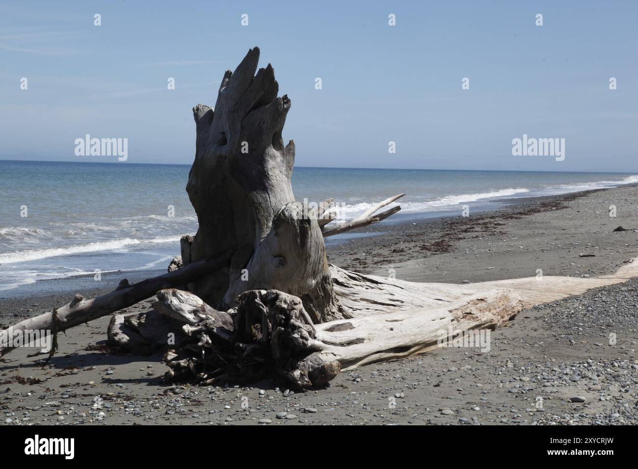 Dungeness recreational area hi-res stock photography and images - Alamy