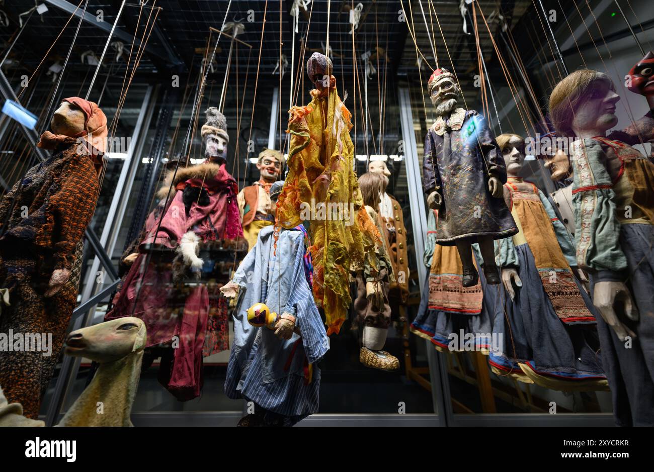Dresden, Germany. 29th Aug, 2024. Marionettes are on display in the ...