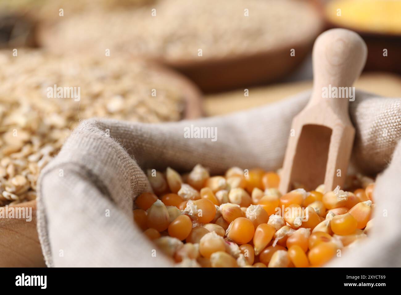 Dry corn kernels natural hi-res stock photography and images - Alamy