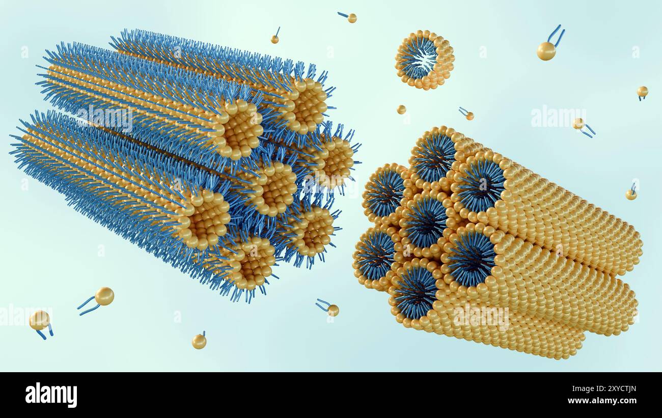 A 3D rendering of a lamellar phase and an inverse hexagonal phase Stock ...