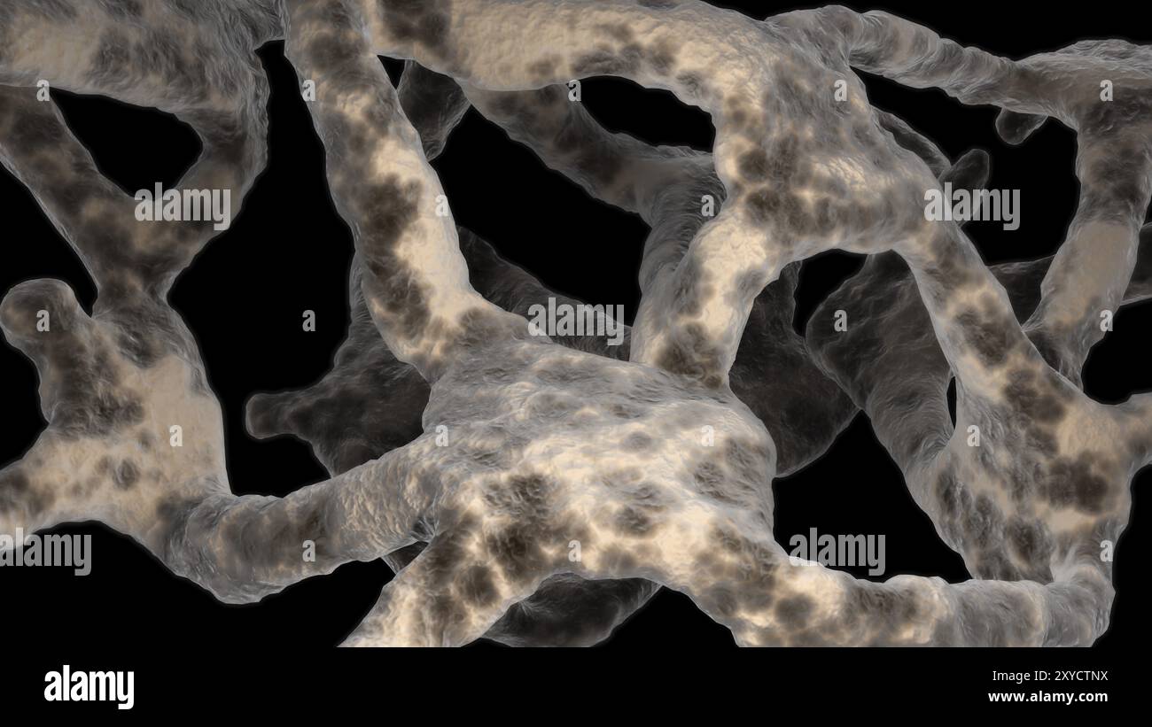 Microscopic structure of bone hi-res stock photography and images - Alamy