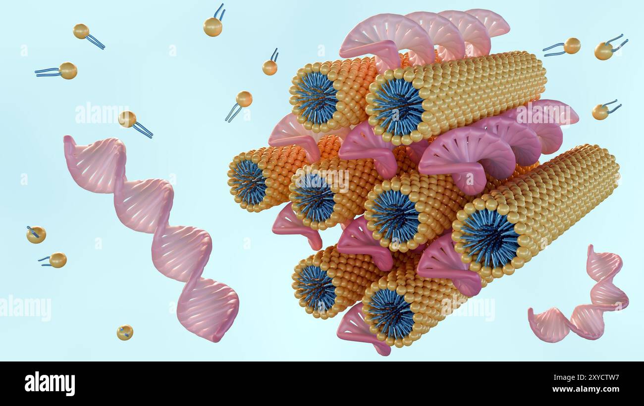 Lipid nanoparticles hi-res stock photography and images - Alamy