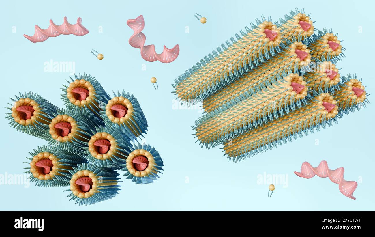 A 3d rendering of inverse hexagonal HIIc phase consists of DNA rods ...