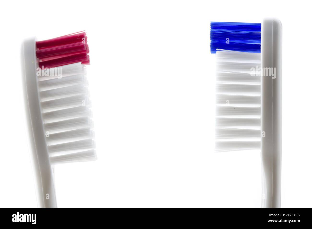 Toothbrush picture Cut Out Stock Images & Pictures - Alamy