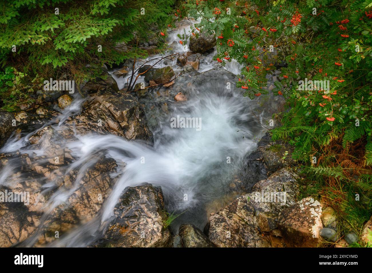 High Beck a tributary of The River Liza in Ennerdale, Cumbria Stock ...