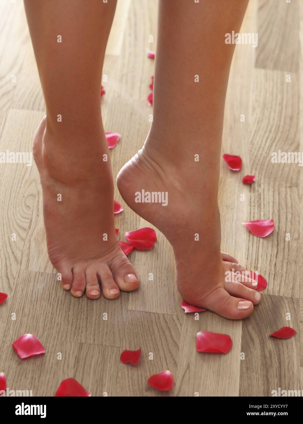 Beautiful legs of the woman and rose petals. Spa or pedicure concept ...