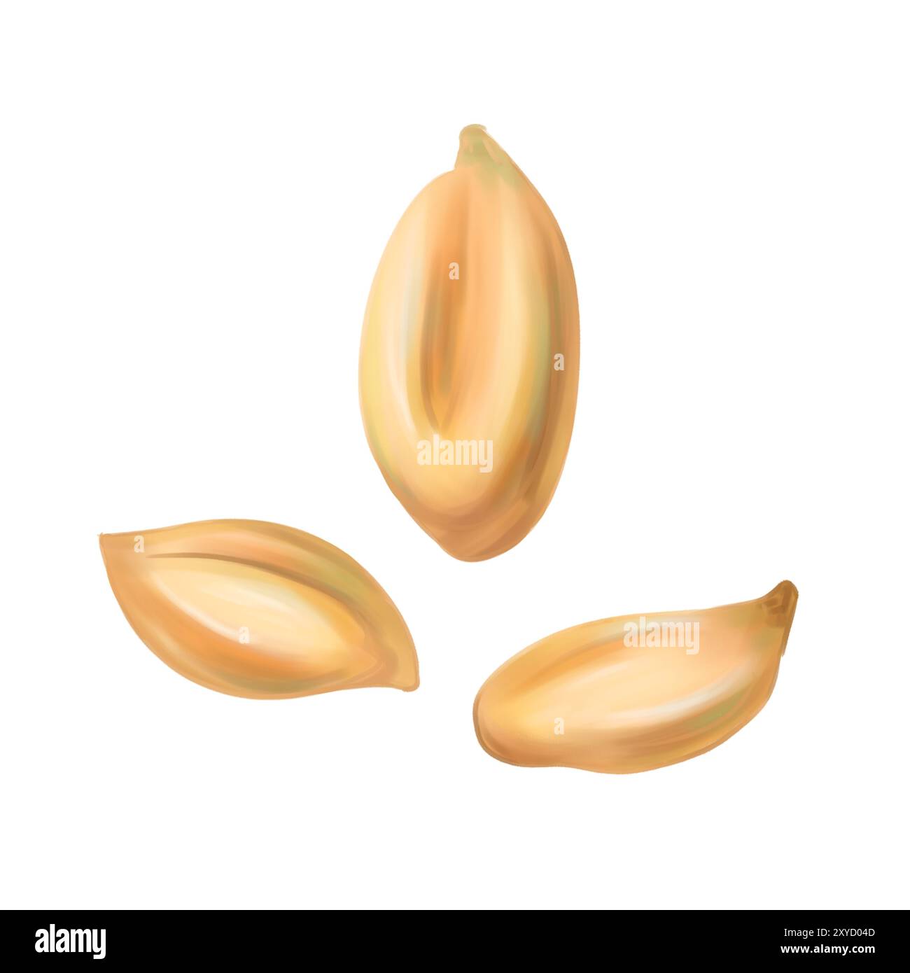 Illustrations seed illustration seed hi-res stock photography and ...