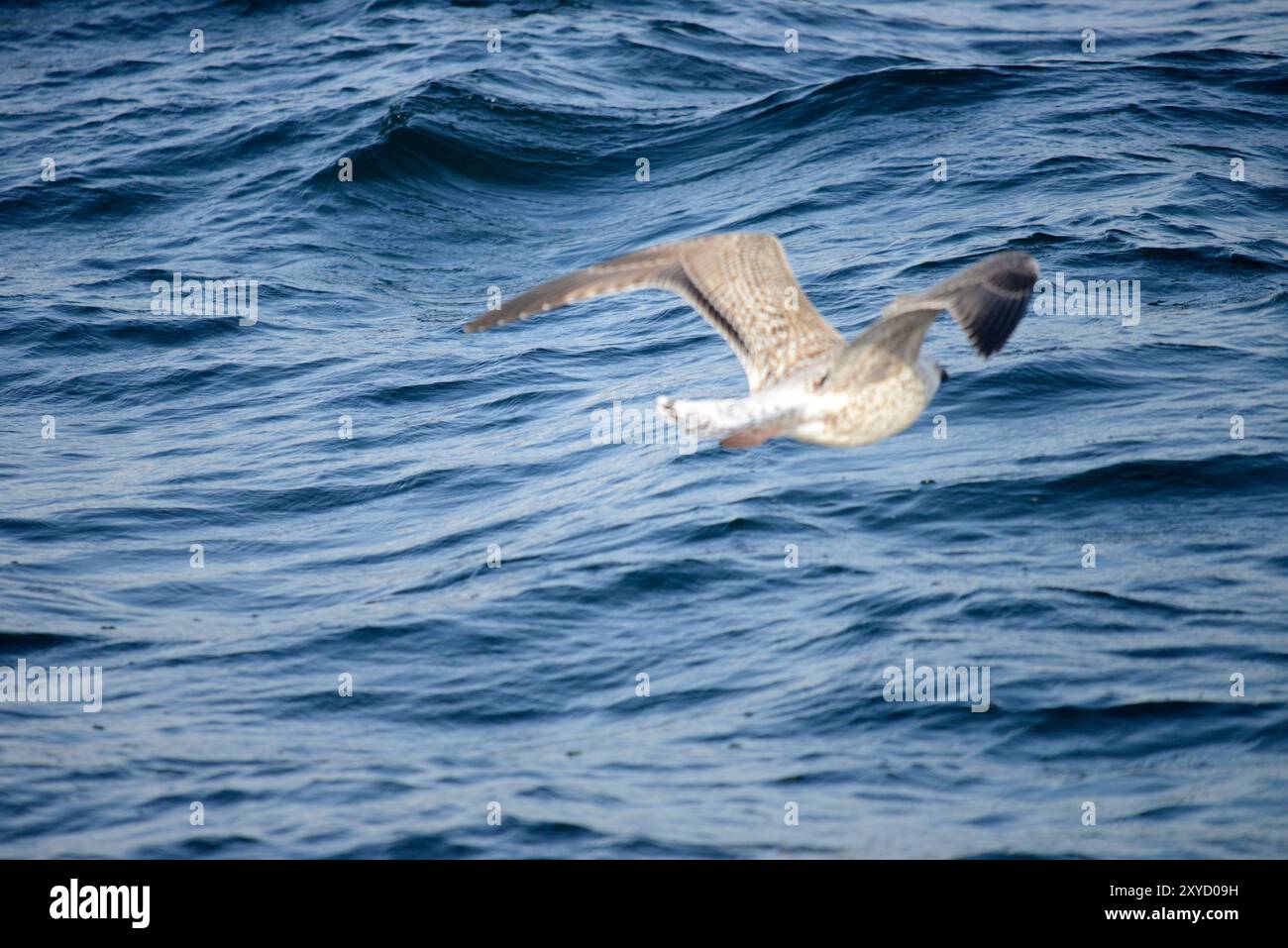 Abstract visual experience hi-res stock photography and images - Alamy