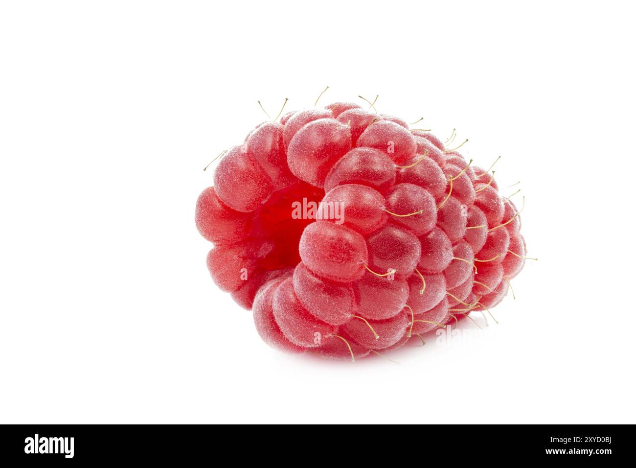 Single fresh raspberry on a white background Stock Photo - Alamy