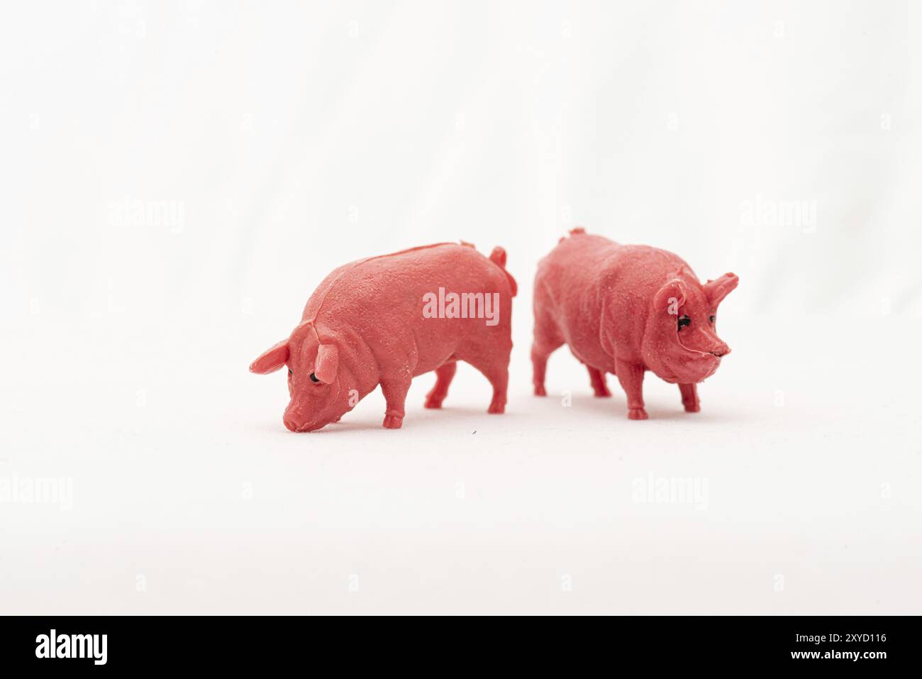 Plastic toy pigs on white background Stock Photo - Alamy