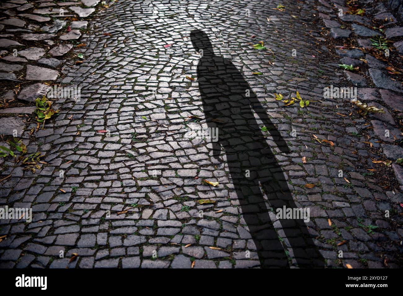 Human shadow on cobblestones at night, symbolic photo crime, burglar ...