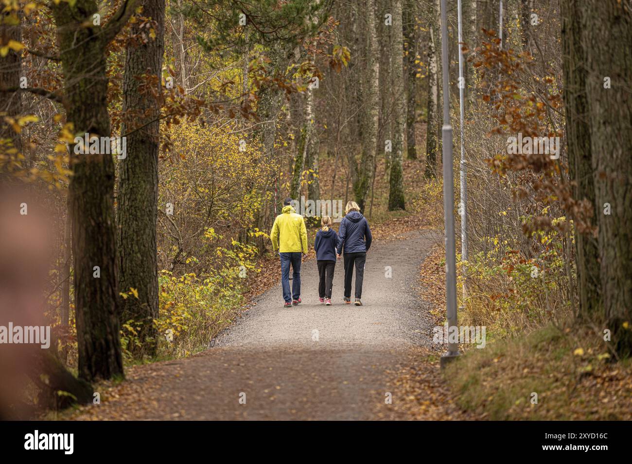 Three woods walk hi-res stock photography and images - Alamy