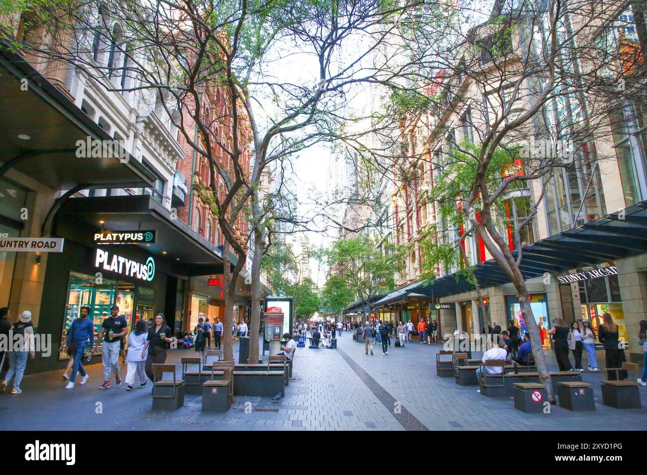 Pitt Street Mall, Sydney, NSW, Australia Stock Photo - Alamy