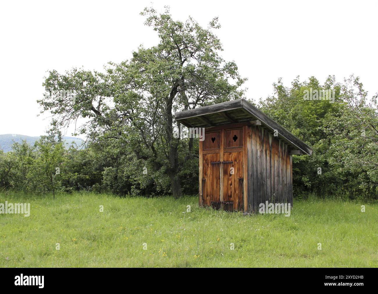 Rural toilet at the back of the garden Stock Photo - Alamy