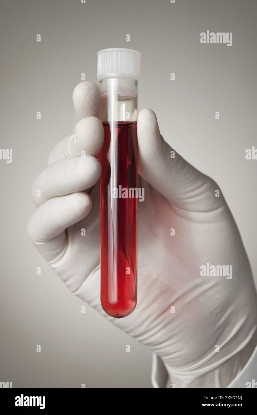 Doctor drawing blood for medical testing hi-res stock photography and ...
