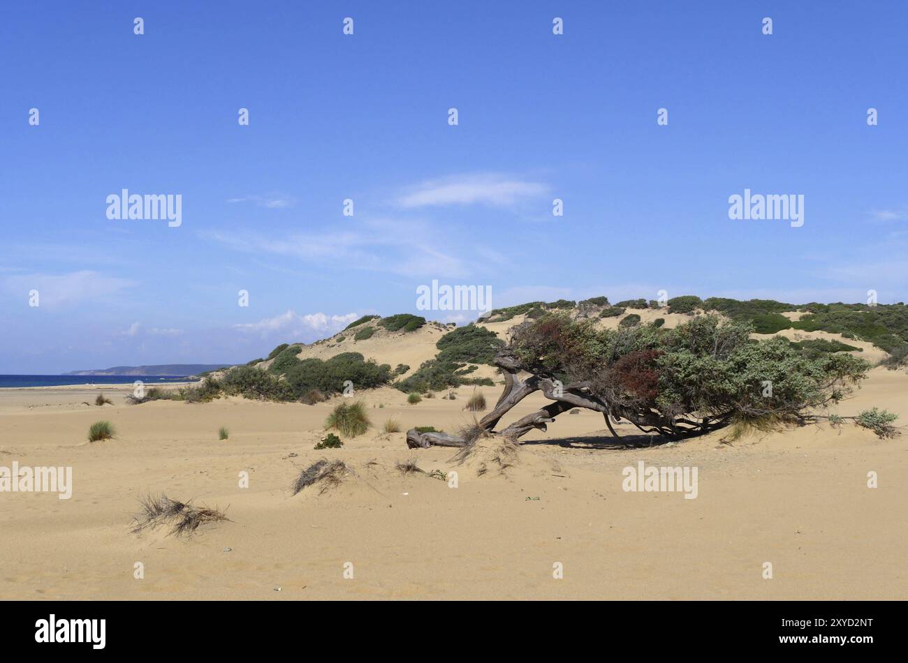 At the Spiaggia di Piscinas, driven by the strong mistral wind, the up ...
