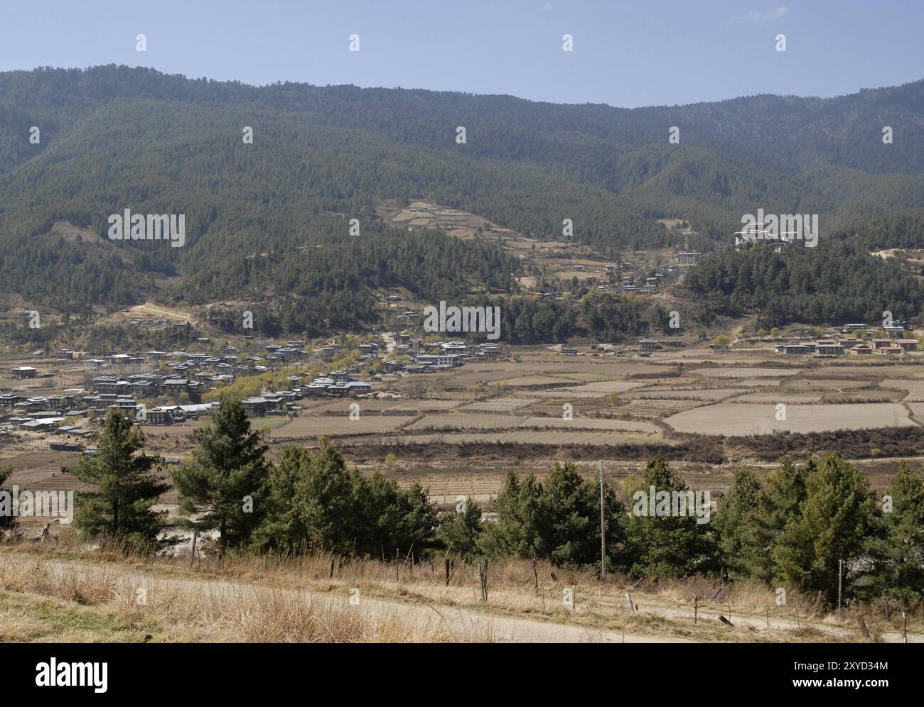 Aerial view of the valley around Bumthang with the Dzong on he hill on ...