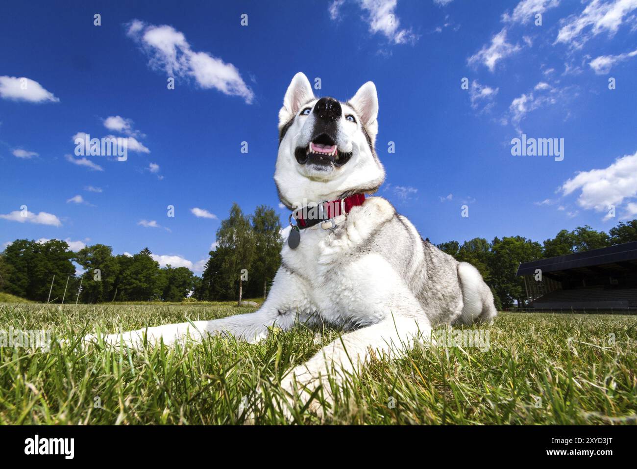 Deep blue skies horizons hi-res stock photography and images - Alamy