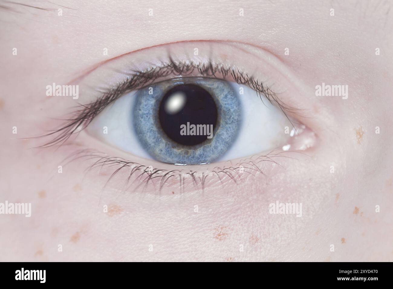 Child blue eye close hi-res stock photography and images - Alamy