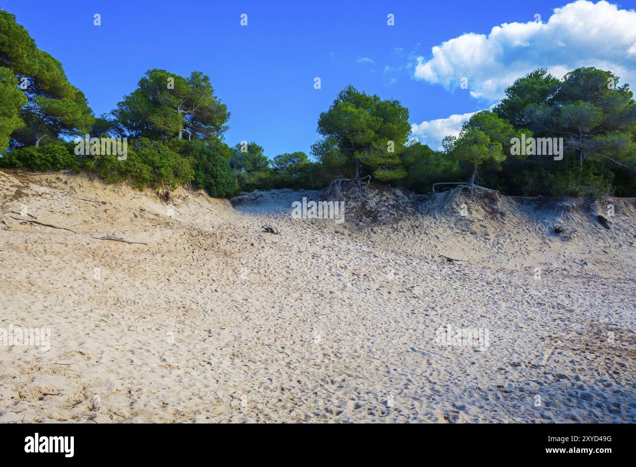 Sand dunes, Majorca Stock Photo - Alamy