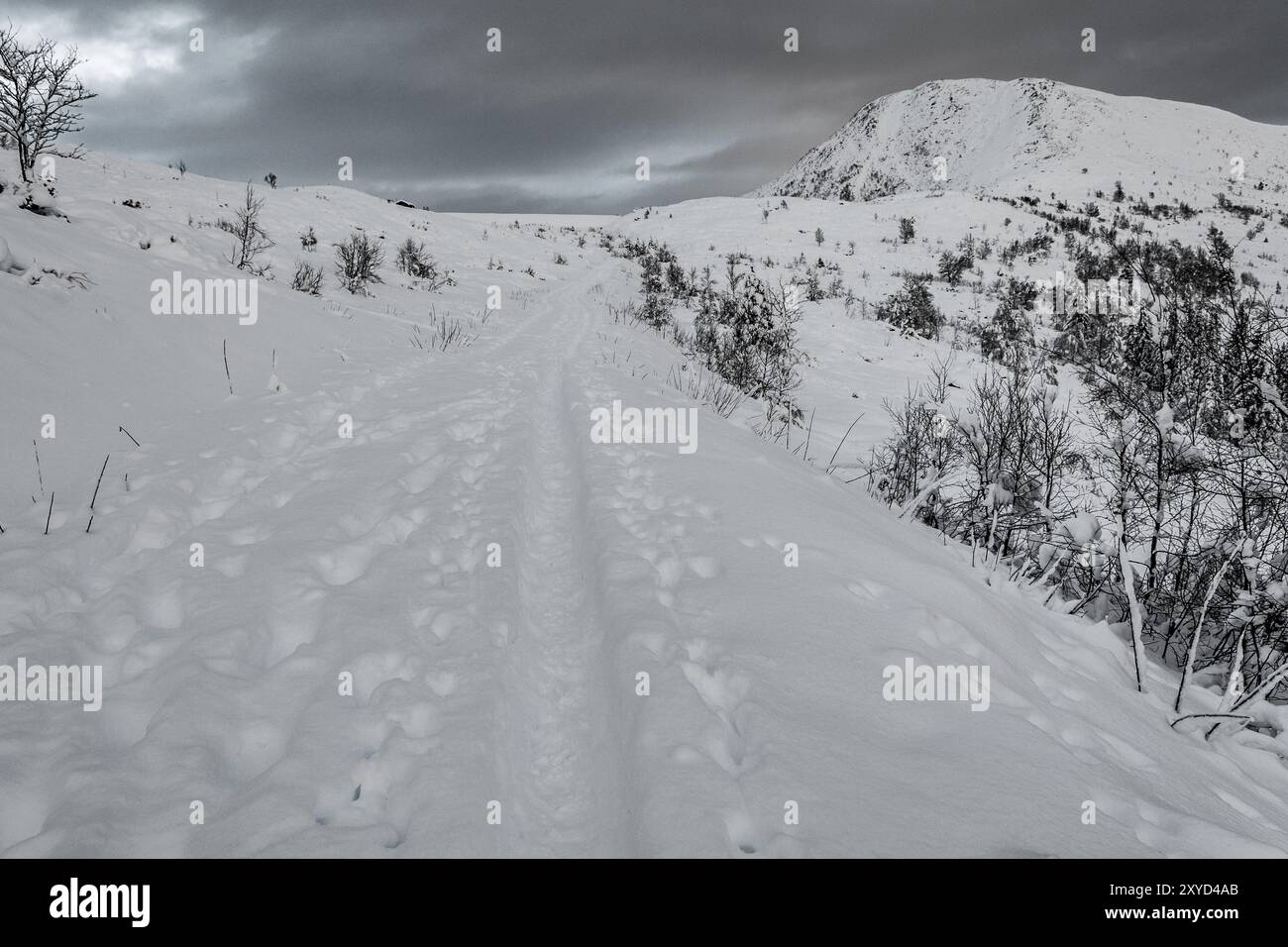 Volda norway in winter hi-res stock photography and images - Alamy